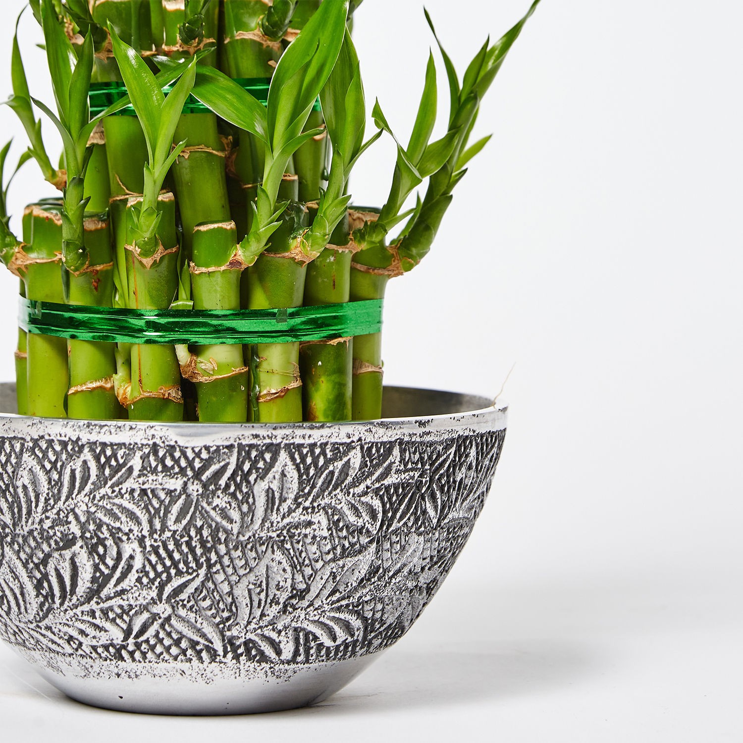 Online 3 Layer Lucky Bamboo in Designer Pot Gift Delivery in UAE ...